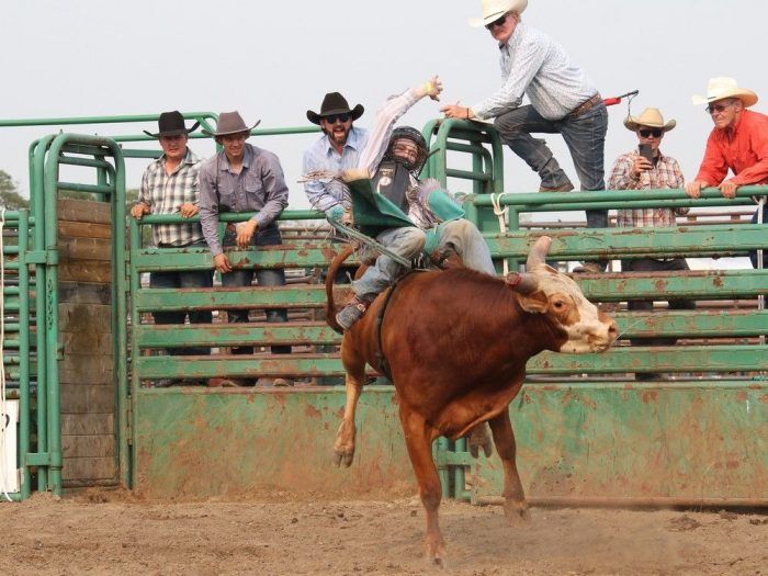Lamont Summer Sizzler Rodeo turns 30 | Sherwood Park News