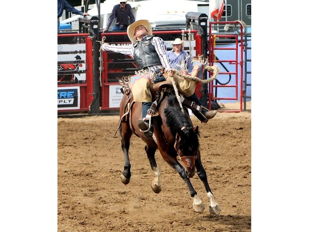 2024 Norfolk Pro Rodeo lassos big crowd | Simcoe Reformer
