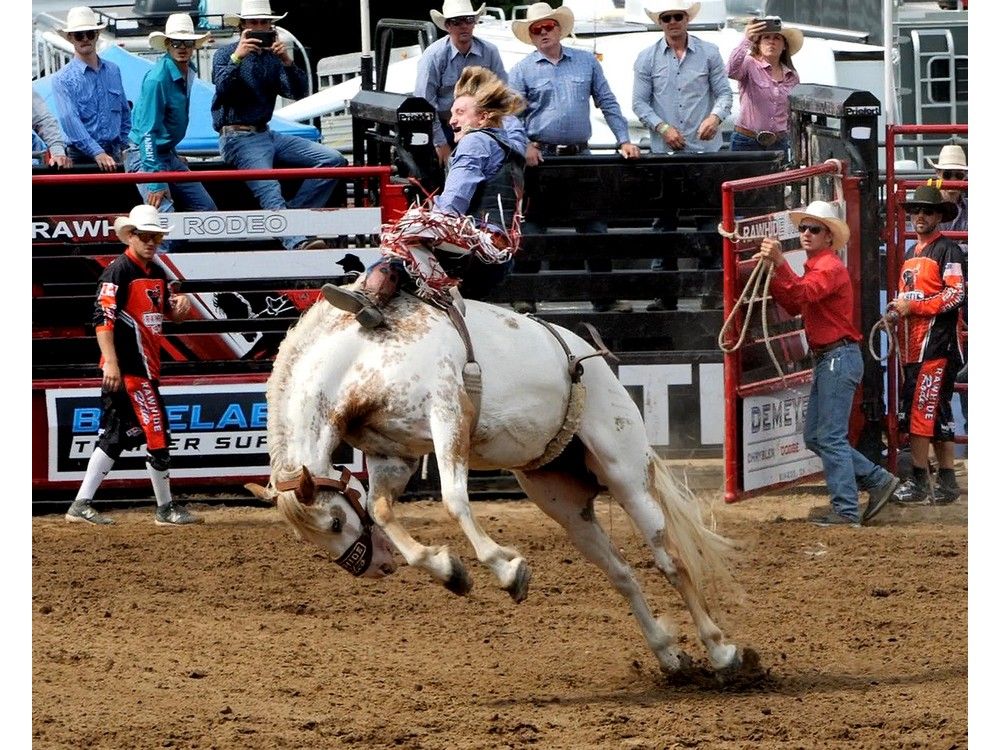 2024 Norfolk Pro Rodeo lassos big crowd | Simcoe Reformer