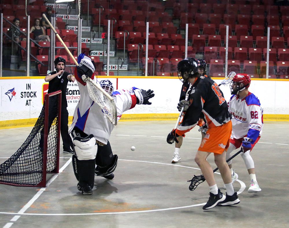 North Stars Hold | Owen Sound Sun Times