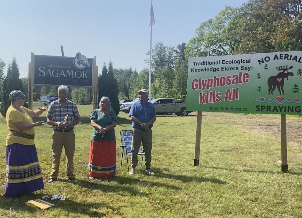 Campaign calls on province to ban glyphosate spraying | Sudbury Star