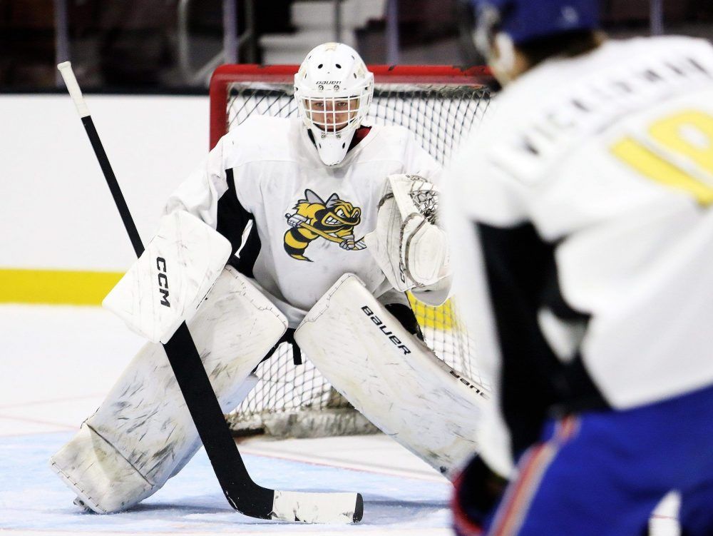 Sarnia Sting to begin training camp Monday | The Sarnia Observer