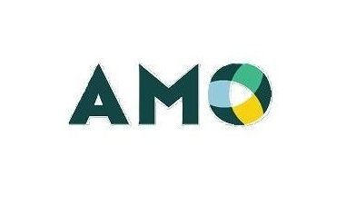 Grey, Bruce officials to discuss priorities at AMO conference | Owen ...