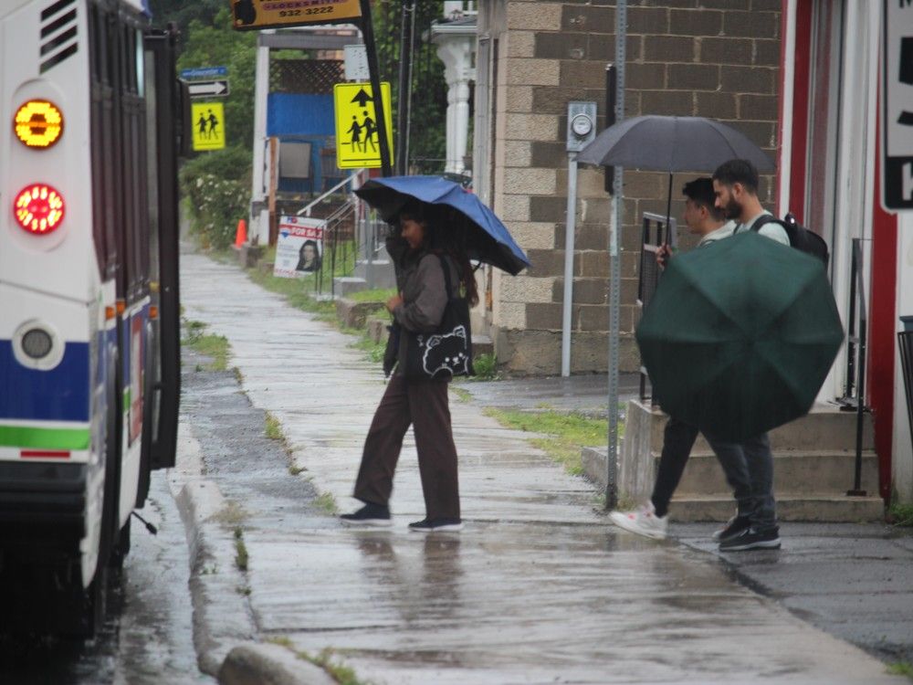 Weather | Cornwall Standard-Freeholder