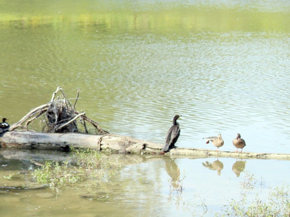 Goderich News | Latest Local Headlines | Goderich Signal Star