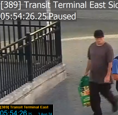 Man charged with defacing Pride flag fails to show up in Sudbury court ...