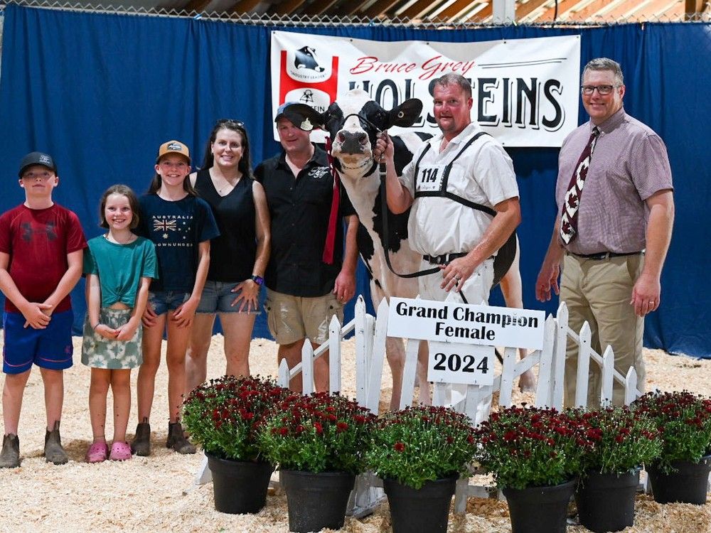 Kincardine, Lucknow competitors victorious at Bruce Grey Holstein Show ...