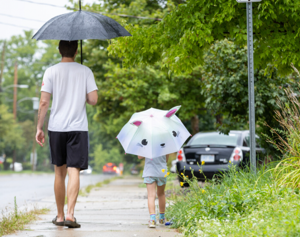 Drip, drip, drip: After July's record-setting deluge, summer rain slows ...