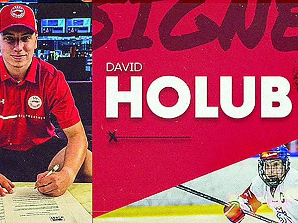 Hounds are high on 'pit bull' import D-man David Holub and his 'tenacious approach' | Sault This ...