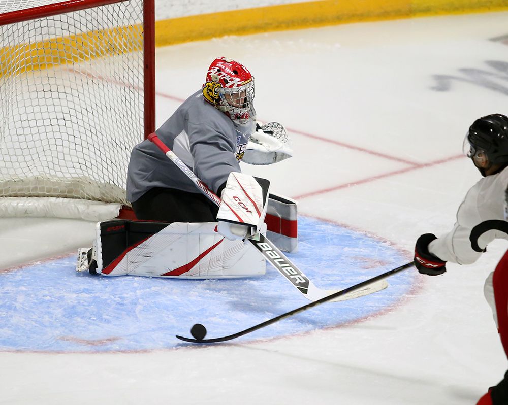 Owen Sound Attack shift training camp to Shallow Lake | Owen Sound Sun Times
