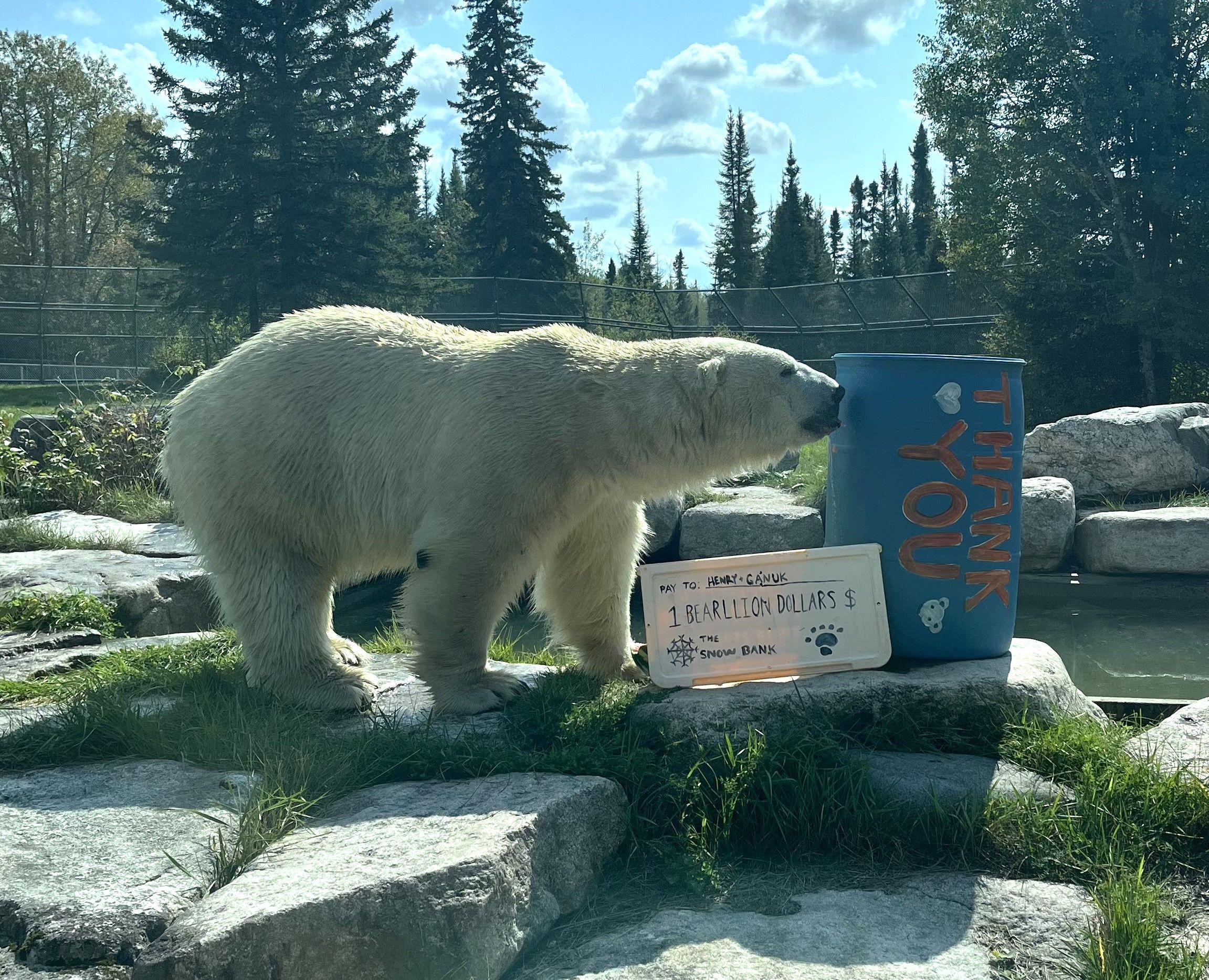 Bearfest beach party and benefit concert brings in $16,960 for Cochrane ...