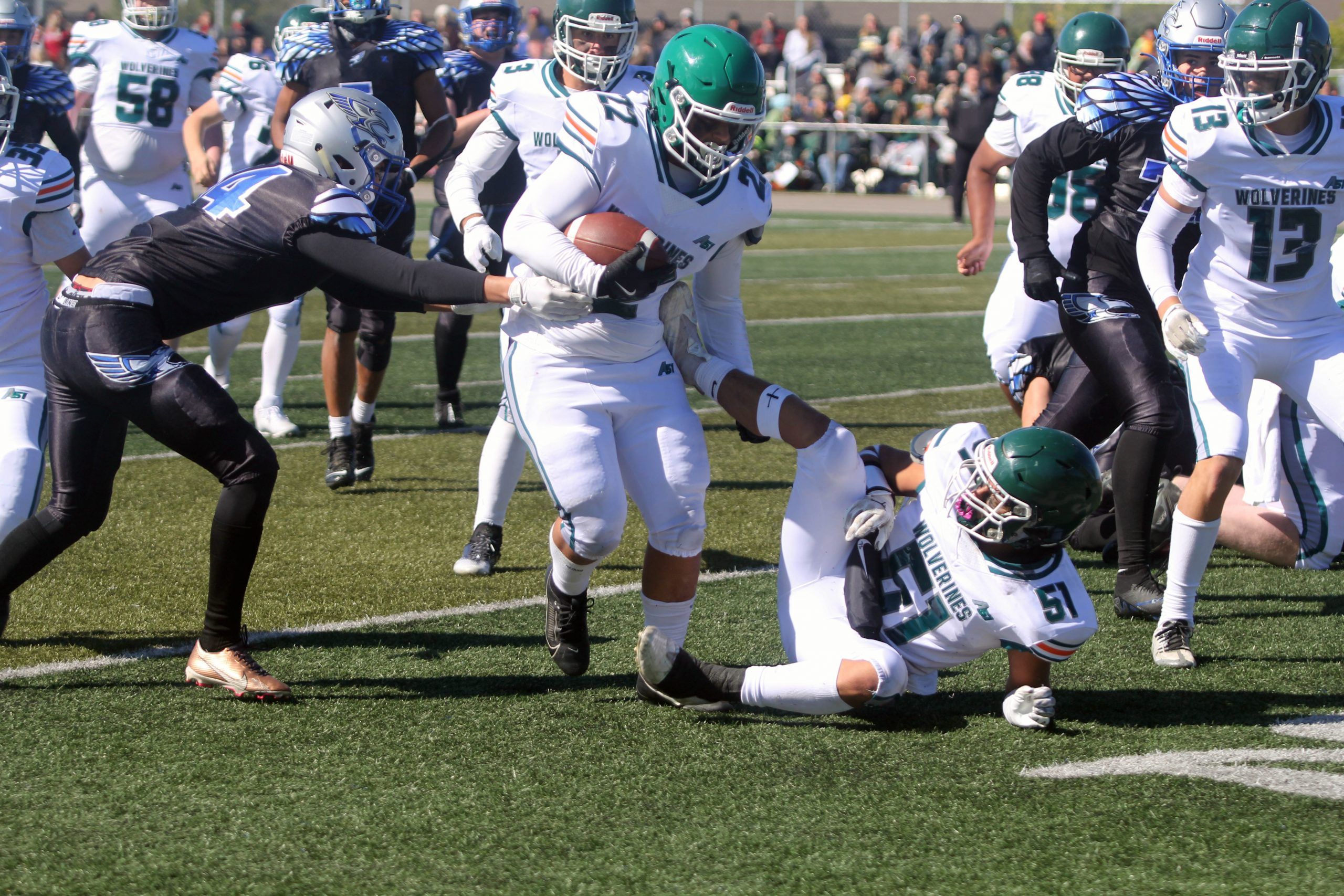 Wolverines and Steelhawks meet in Sault football action | The Daily Press