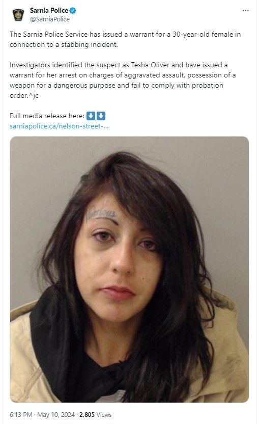 Sarnia woman wanted for stabbing arrested, quickly gets bail | The ...