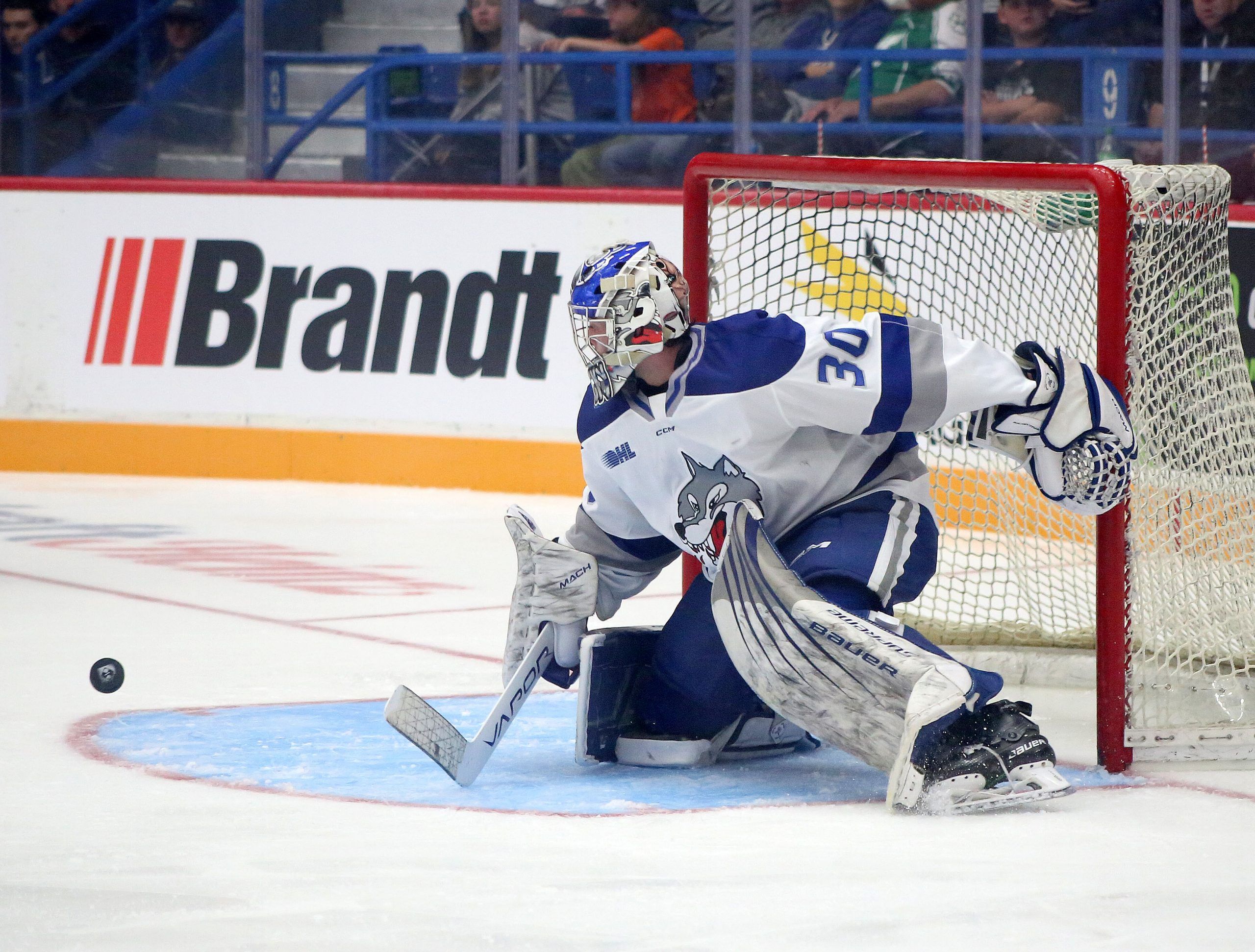 Wolf Tracks: Nate Krawchuk terrorizing opposing shooters of late ...