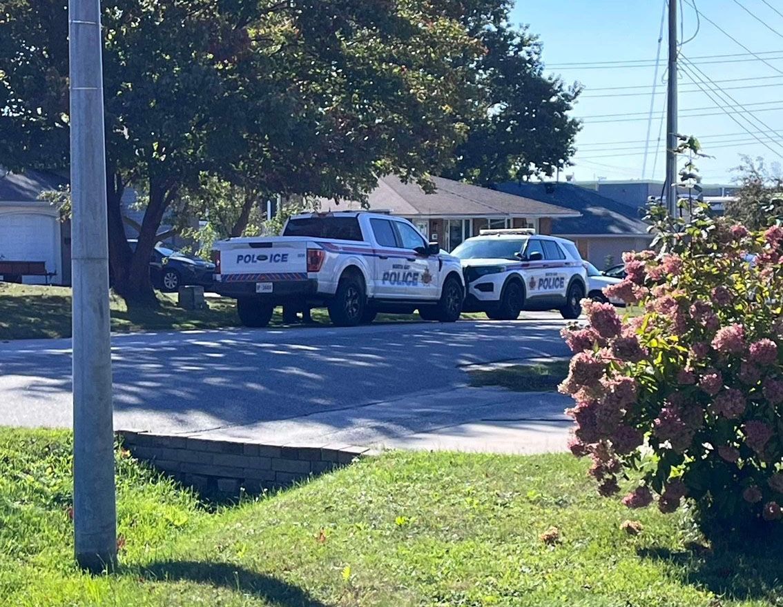 North Bay officers looking for security footage in Pinewood | The Daily ...