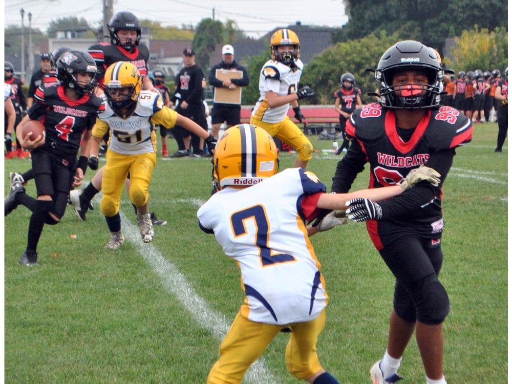 Cornwall Wildcats split home games against West Carleton, Orleans ...