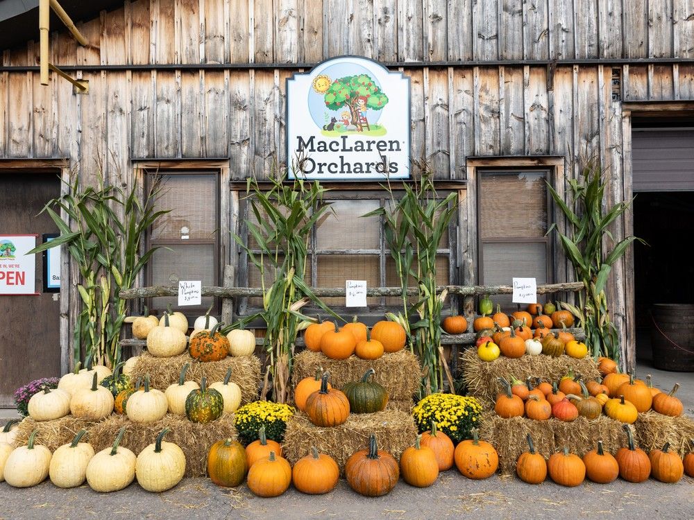 Fall in the Ottawa Valley: A season of harvest and fun in the ...
