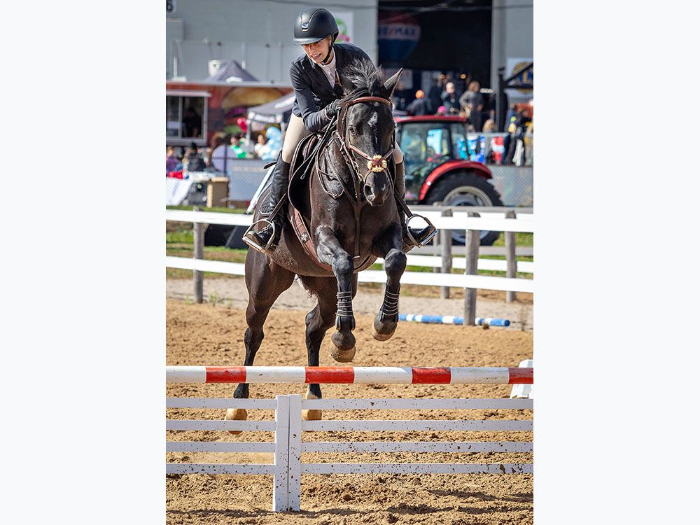 Horses a key component at Norfolk County Fair and Horse Show | Simcoe ...