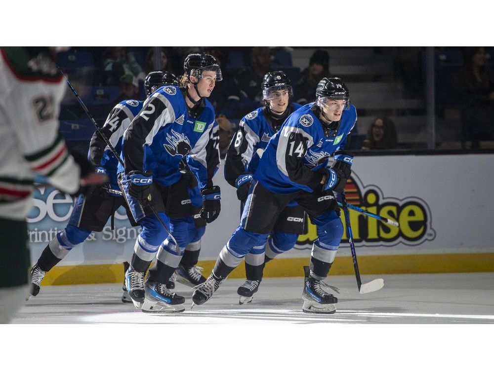 Cats, Dogs off to quick start; UNB still unbeaten | Telegraph-Journal