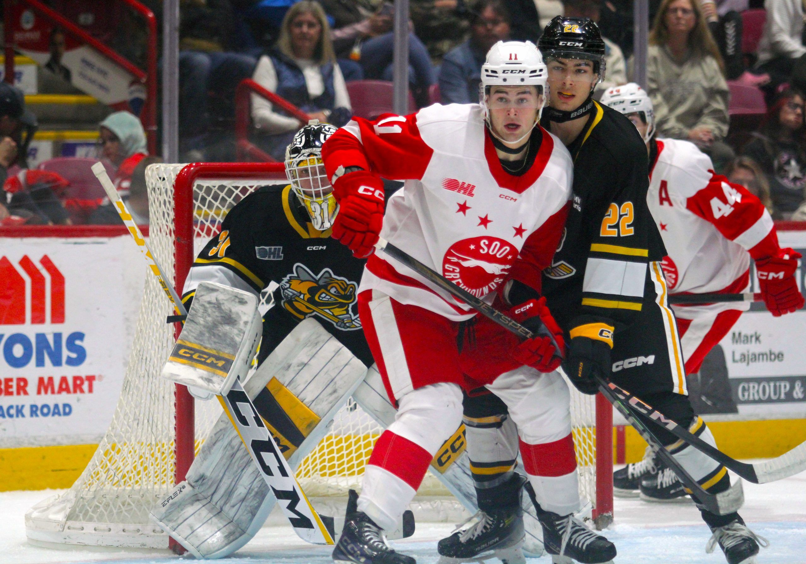 Sarnia Sting extend point streak with shootout loss to Soo Greyhounds ...
