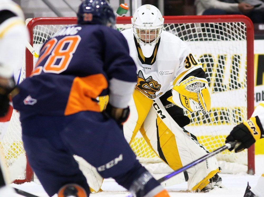 Sarnia Sting's winning streak goes up in flames versus Flint Firebirds ...