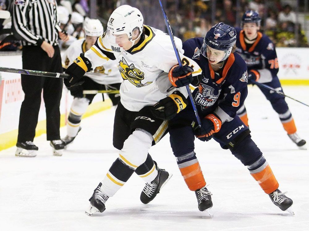Struggling Sarnia Sting fall to Flint Firebirds | The Sarnia Observer