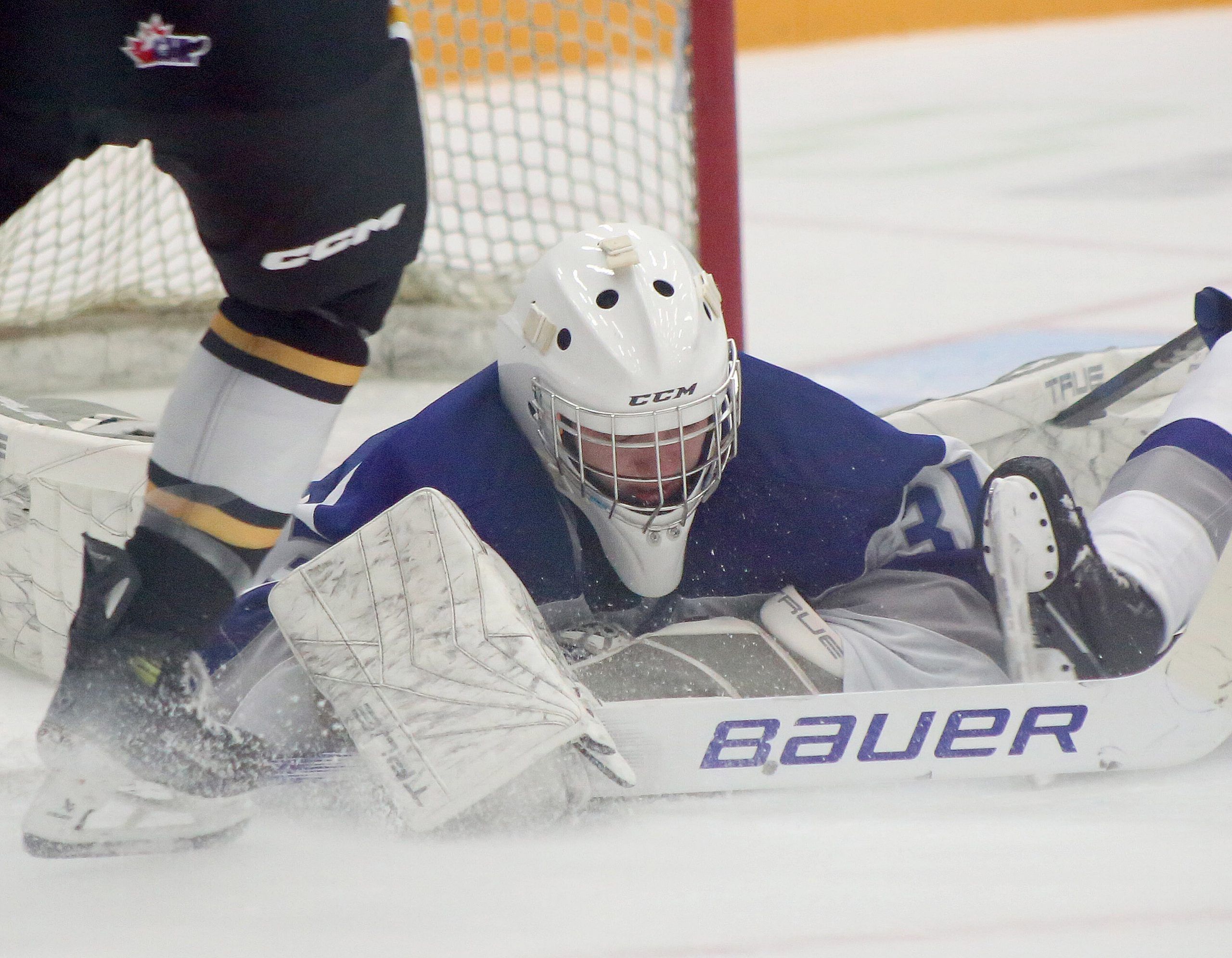 Wolves look for ‘teachable moments’ in setback against Sarnia | Sudbury ...