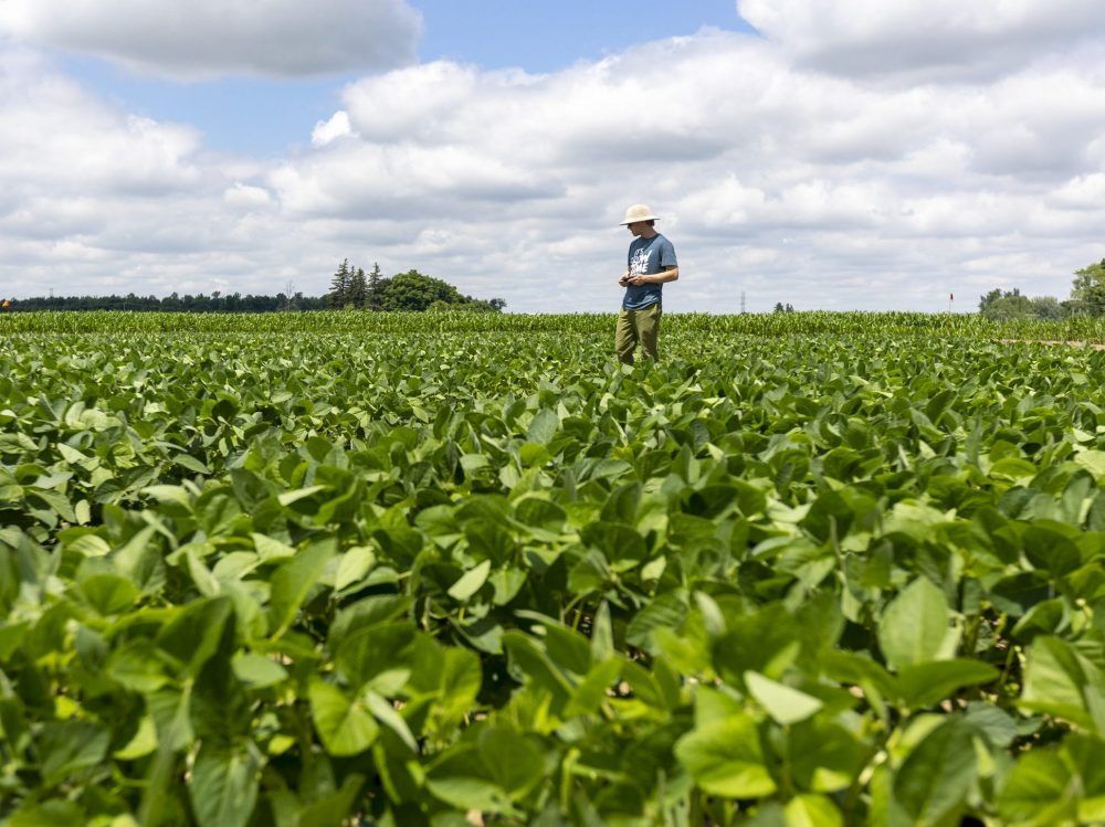 Ottawa, Queen's Park dole out $12M to protect farms from extreme ...