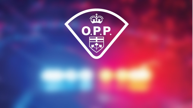 Driver hit with stunt driving charge in Papineau-Cameron township ...