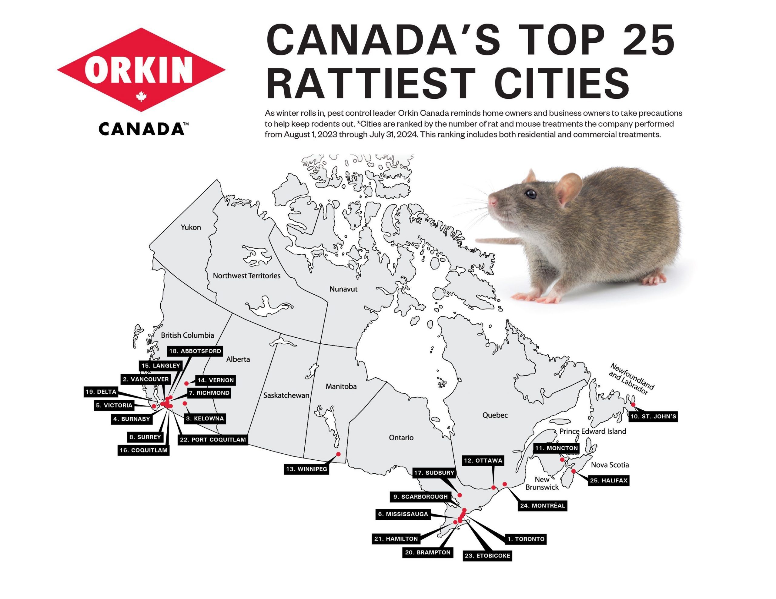 Toronto named Canada's 'rattiest' city by Orkin; Sudbury 17th | Sudbury ...