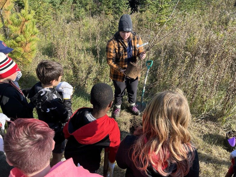 Eamer's Corners P.S. students make their mark in Cornwall urban forest ...