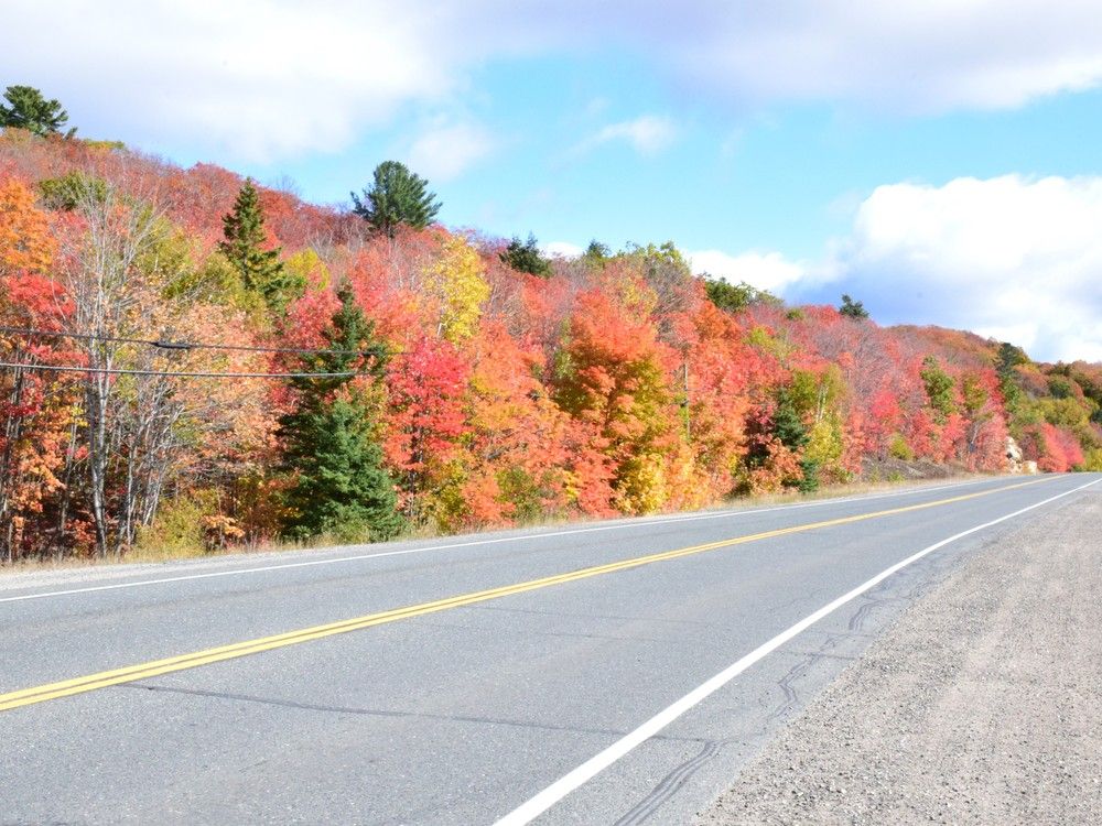 Thousands visit Sault during bright fall tourism season | Sault Star