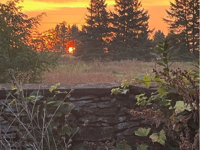 Farewell to Lemoine Point Farm | The Kingston Whig Standard