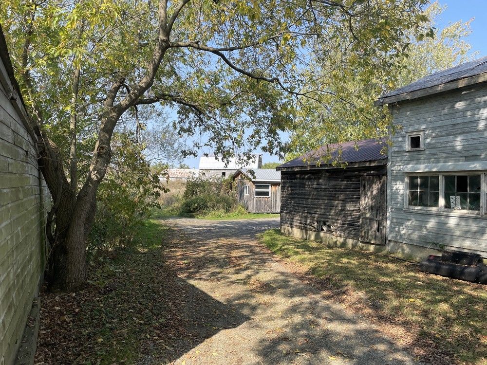 A walk through Lemoine Point Farm | The Kingston Whig Standard