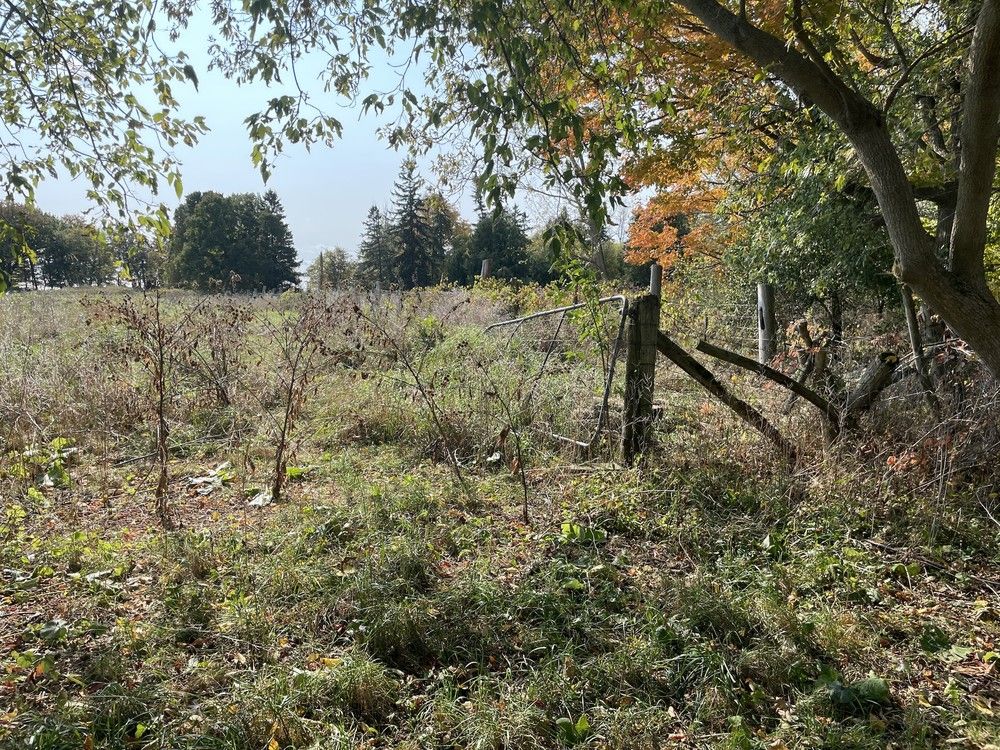 A walk through Lemoine Point Farm | The Kingston Whig Standard