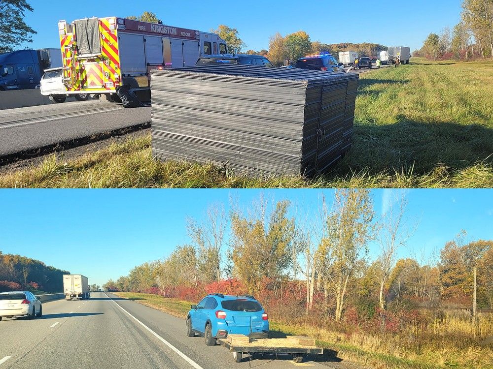 Montreal driver charged after cows spill onto Hwy 401 in Kingston | The ...
