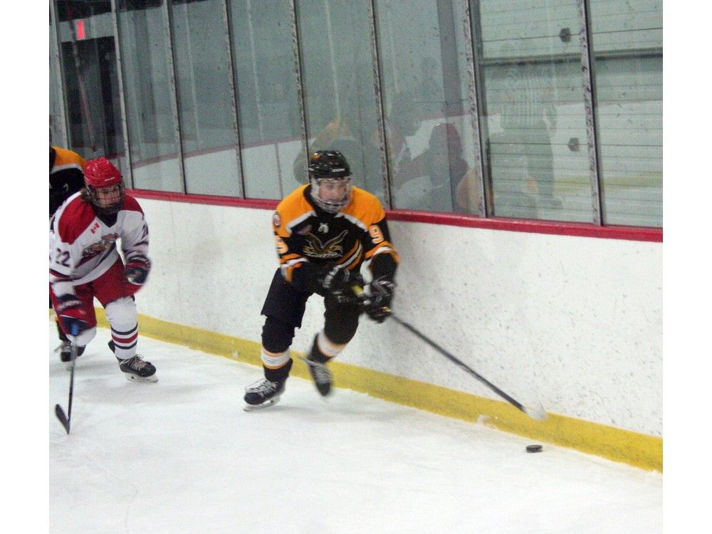 Hawks enjoy 6-0 start to season | Owen Sound Sun Times