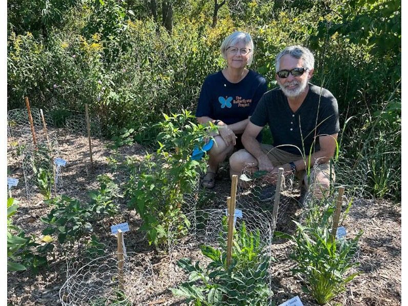 Local couple creating biodiversity through public pollinator gardens ...