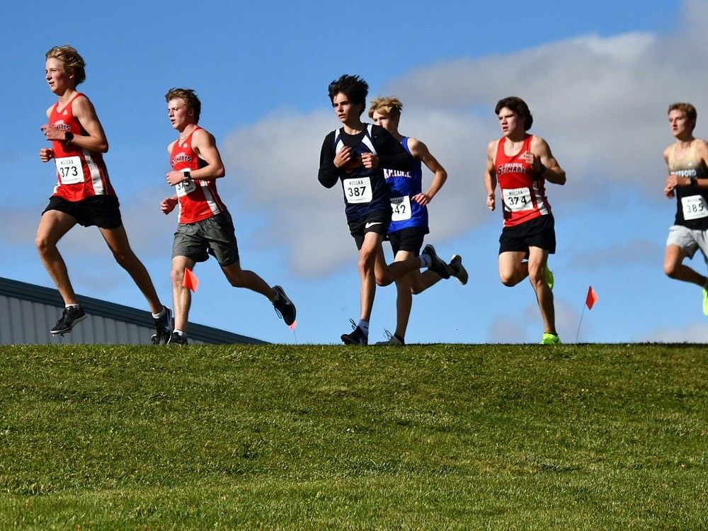 Local runners advance to OFSAA cross-country championships | The ...
