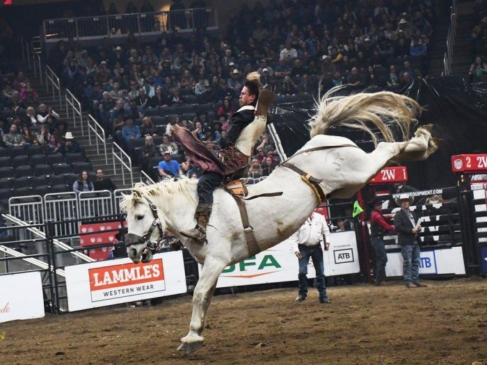 Local cowboy Lamb makes comeback at Canadian Finals Rodeo | Sherwood ...