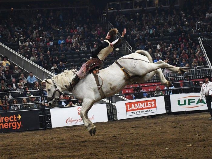 Local cowboy Lamb makes comeback at Canadian Finals Rodeo | Sherwood ...