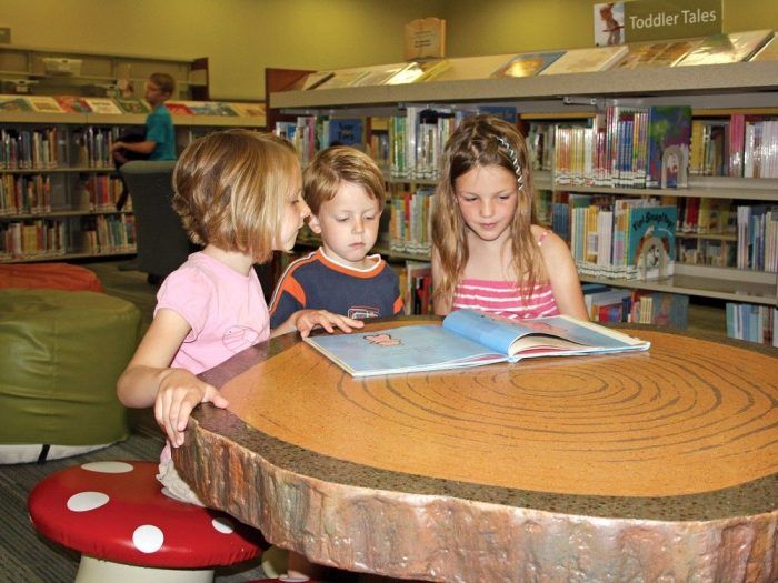 Survey: Have your say in the future of the Strathcona County Library ...