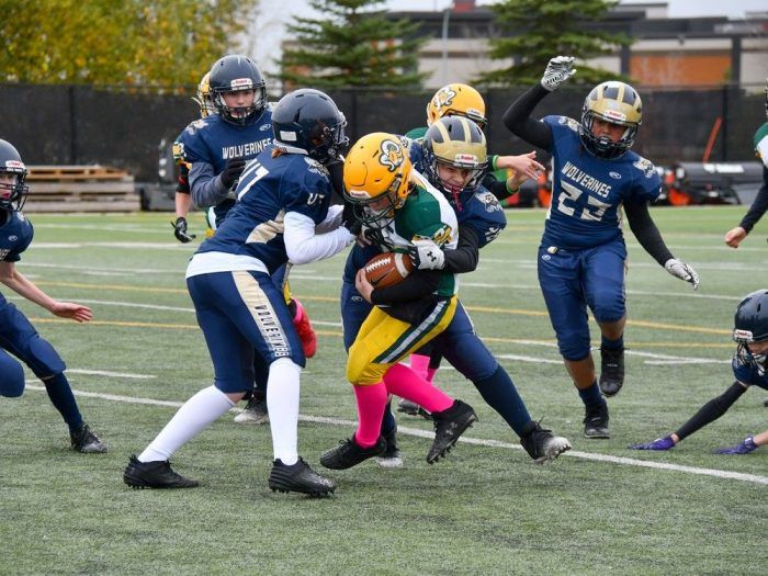 Defending champs U13 Wolverines taking perfect season into playoffs ...