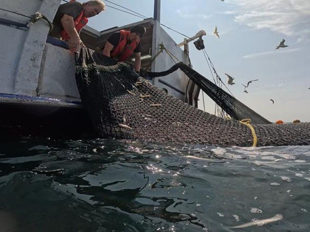 New documentary captures reality of life in commercial fishing | St ...