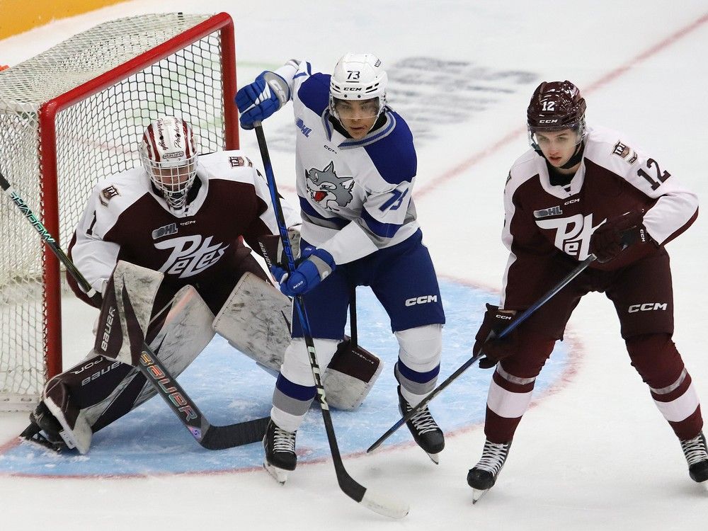 Wolves sign free-agent forward Street | Sudbury Star