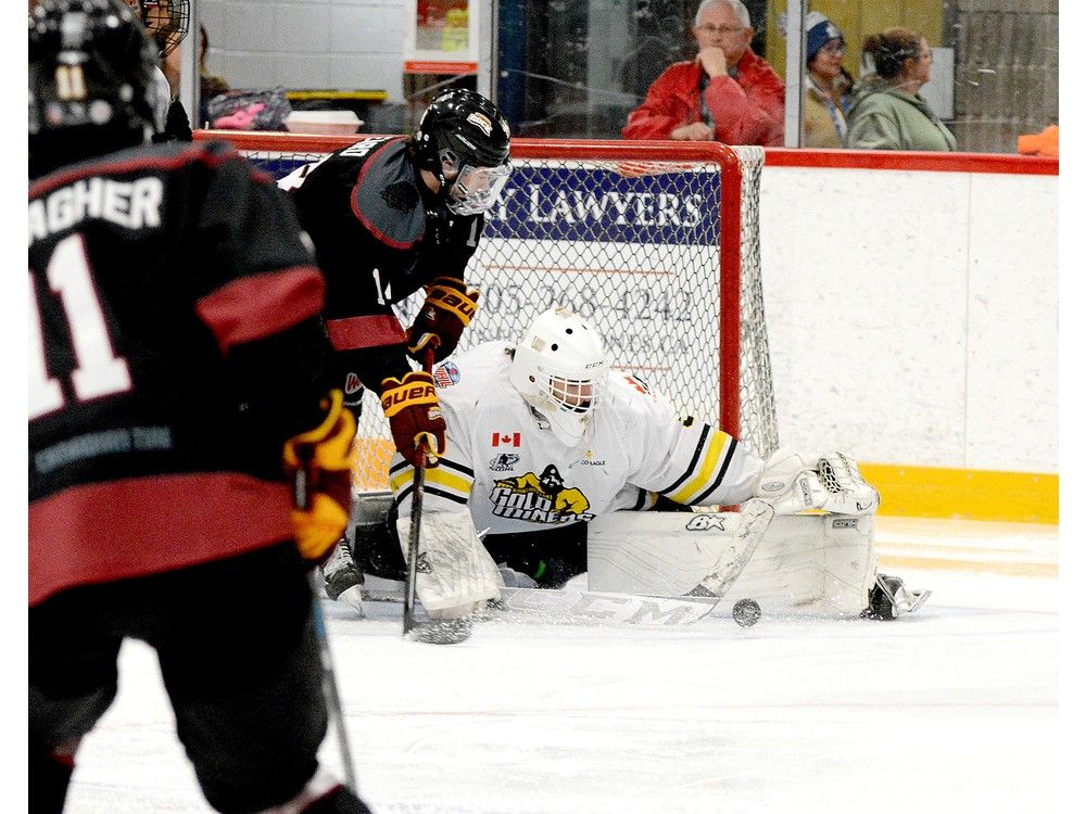 Rock kick offence into high gear to roll over Gold Miners | Brantford ...