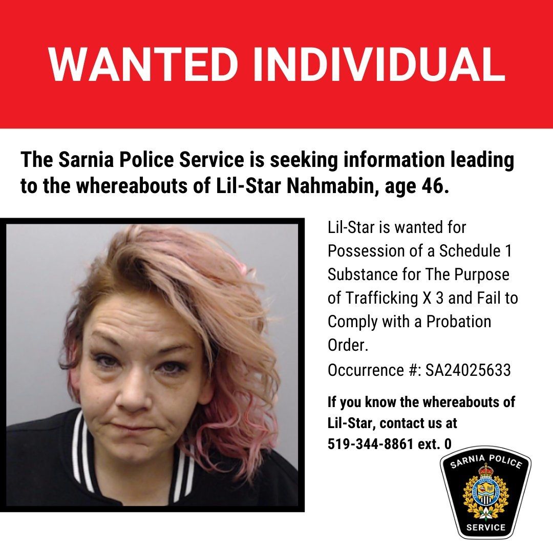 Two Sarnia residents out on bail back in jail on new charges | The ...