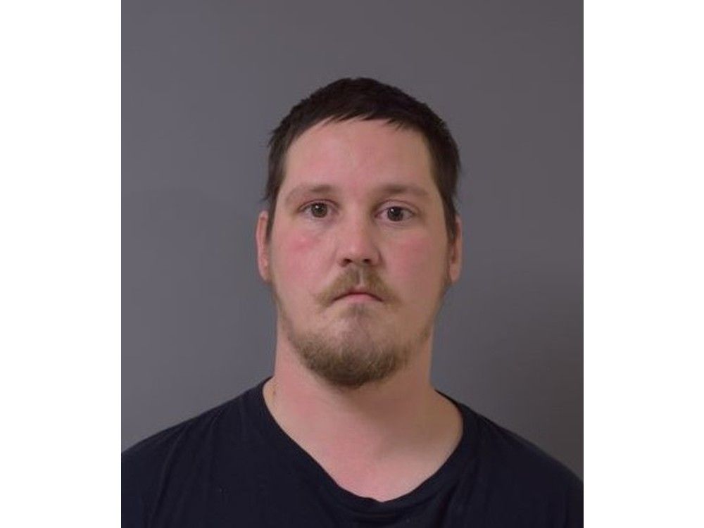 Sex offender captured in Ontario, five years after molesting girl ...