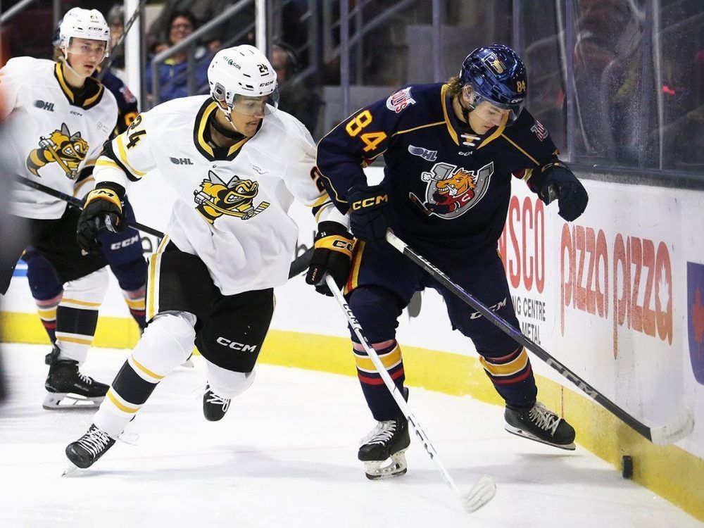 Winless Sarnia Sting working on discipline | The Sarnia Observer