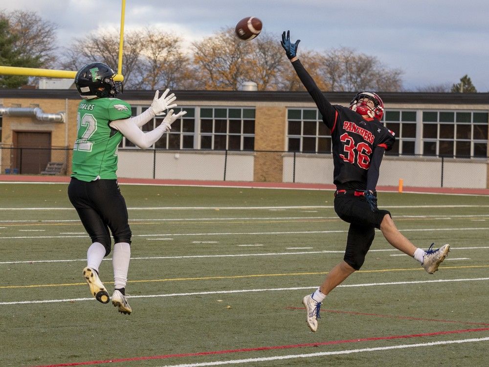 Eagles to face Mustangs in AABHN senior football final | Brantford ...